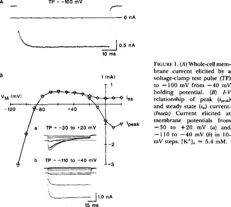 Figure 1 From Characterization Of The Inward Rectifying Potassium