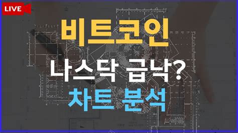 비트코인실시간 전망 분석 및 실전매매 11월3일 나스닥 급낙 Youtube