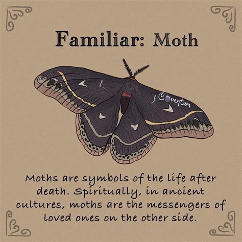 Best 13 Moth Symbolism And Spiritual Meanings Of Seeing Moths Artofit