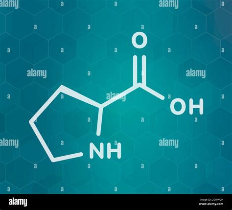 Proline L Proline Pro Amino Acid Molecule White Skeletal Formula On