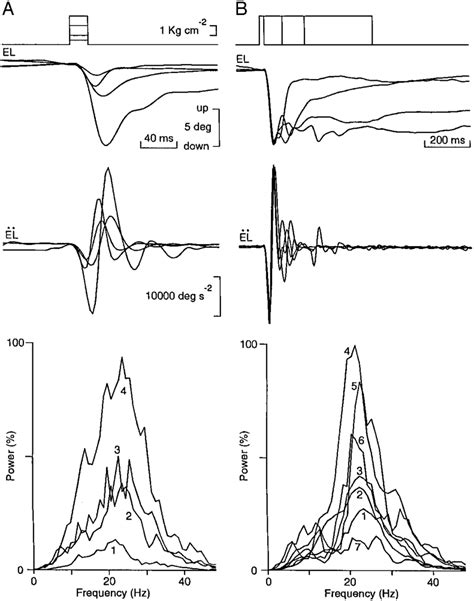Frequency Component Analysis Of Reflex Blinks As A Function Of The