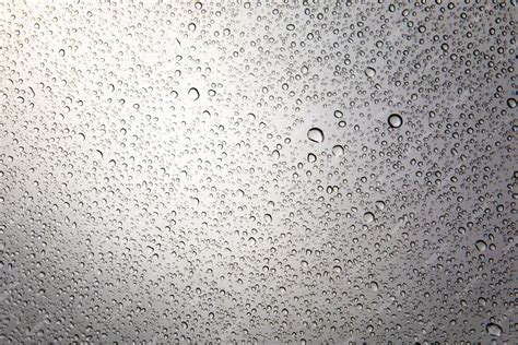 Premium Photo Water Drops On White Background Rain Drop Condensation