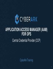 CAU 03 AAM Ops CentralCredentialProvider Pdf APPLICATION ACCESS