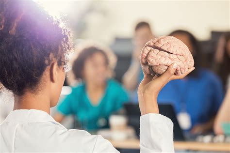 El Cerebro Masculino Y Femenino Desata Tu Potencial