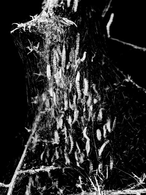 Interview With Igor Pisuk By Martin Čulík Dofoto Magazine