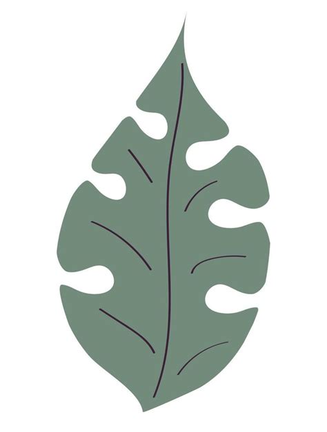 Leaf Plant Foliage 14175801 Vector Art At Vecteezy