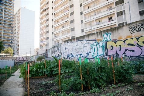 Un jardin partagé voit le jour au pied des tours de la cité Félix Pyat