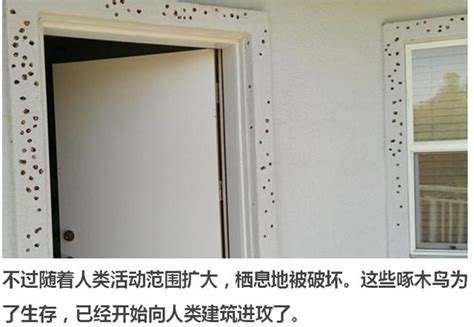 男子在野外看到奇怪的樹，走近觀察後冷汗直流！ 每日頭條