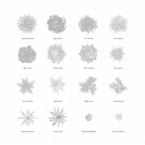 Flat Vector Plan Vegetation And Shadows Bundle Photoshop Brushes