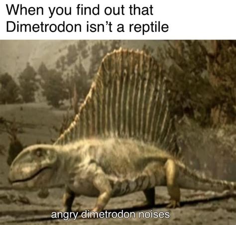 Who The Fuck Would Say Synapsids Arent Reptiles R Prehistoricmemes