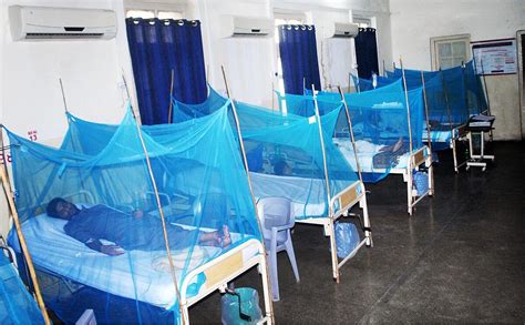 Rwmc On High Alert To Prevent Flooding Dengue Spread Thepenpk