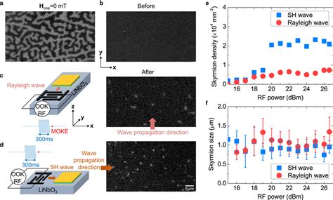 Generation Of Skyrmions By Rayleigh And Sh Waves Polar Moke Images A Download Scientific