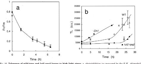 Figure 10 From The Effect Of Zeaxanthin As The Only Xanthophyll On The Structure And Function Of