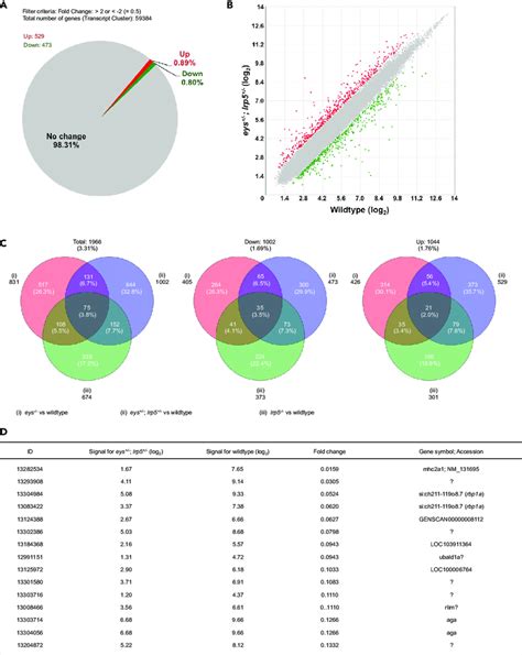 Global Gene Expression Analysis Of The Digenic Eys Lrp5 À