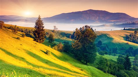 Beautiful Greenery Landscape Hd Nature 4k Wallpapers Images
