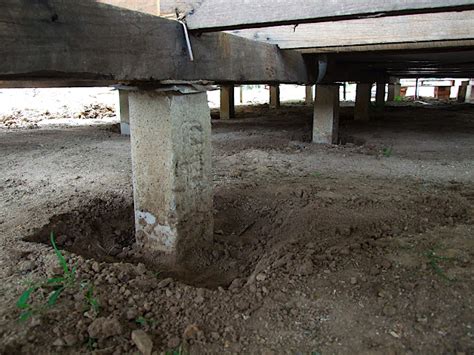 Termite Resistant Design