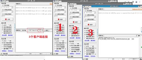 一文讲明 网络调试助手的基本使用 Netassist前言 因为项目开发时一般要不到现场实际服务器的ip和端口以及服务器环 掘金