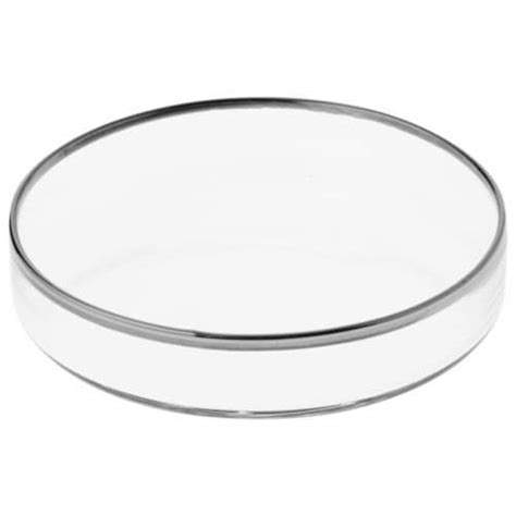 Plymor 3 X 3 Round Glass Display Tray Silver Rim Pack Of 2 2 Ct