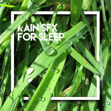 Rain Sfx For Sleep Album By Rain Sounds Sleep Spotify