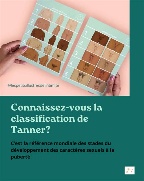Lévolution Des Organes Génitaux Féminins à Travers Le Prisme De L