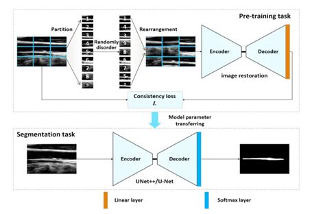 Ultrasound Carotid Plaque Segmentation Via Image Reconstruction Based
