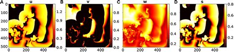 Frontiers Data Driven Modeling And Prediction Of Complex Spatio
