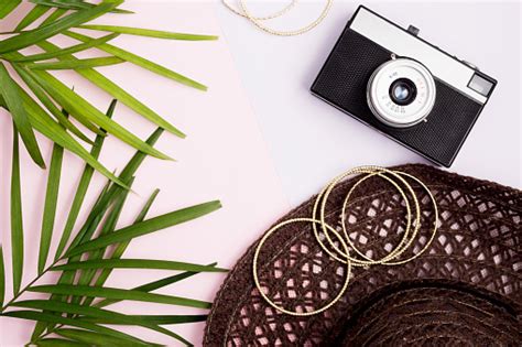 Boho 스타일 여행까지 조롱 종 려 잎 빈티지 카메라 황금 팔찌와 화려한 분홍색과 보라색 배경에 비치 모자 0명에 대한 스톡