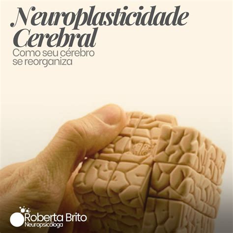 Neuroplasticidade Cerebral Como Seu Cérebro Se Reorganiza Roberta