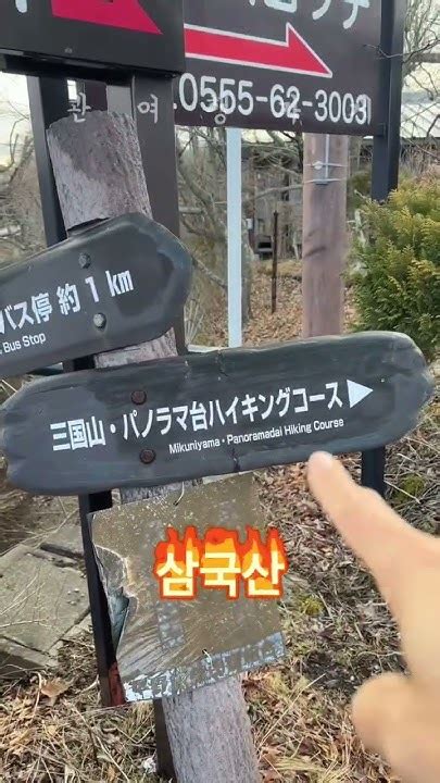 후지산 벚꽃 🌸 언제 피나요 Youtube