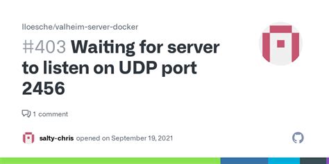 Waiting For Server To Listen On Udp Port Issue Lloesche