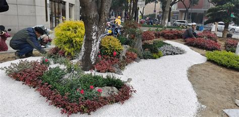 绿化开展花镜改造提升工程