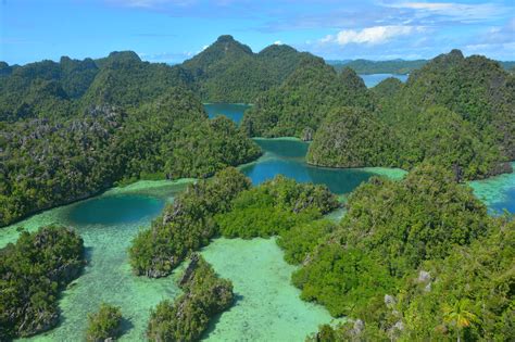 Misool Rafauli Dive Center