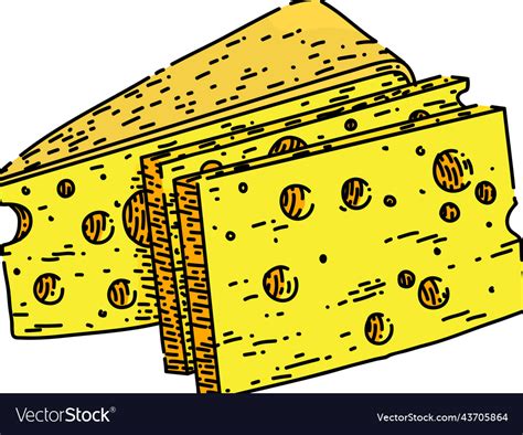 Swiss Cheese Sketch Hand Drawn Royalty Free Vector Image
