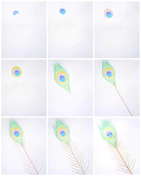 How To Draw A Feather Of Peacock Roxann Sexton