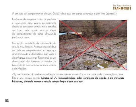 Manual De Boas Práticas De Manejo De Transporte De Bovinos