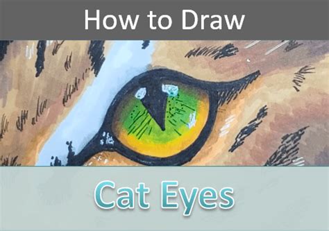 How To Draw Eyes Cat