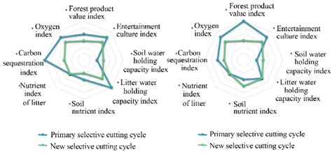 Old And New Selective Cutting Cycle Radar Charts Download Scientific Diagram