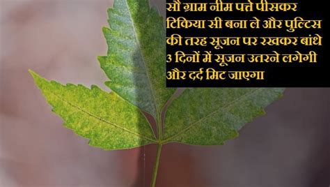 Neem Ke Fayde In Hindi नीम के फायदे स्वास्थ्य की 100 गारंटी