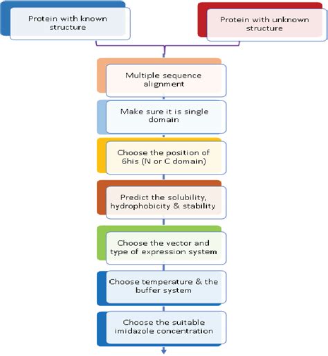 Flow Chart Of Protein Working Step To Obtain Desired Protein From The Download Scientific