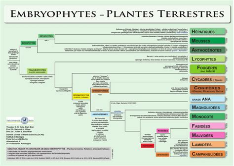 Pdf Embryophytes Plantes Terrestres Embpp Français