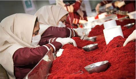 Buy Iranian Saffron