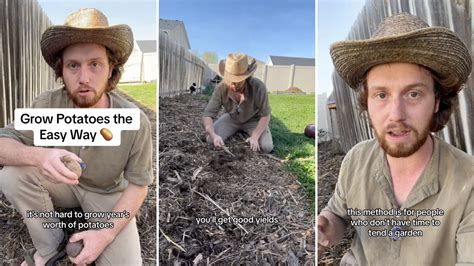 Homesteader Reveals Easy Way To Grow Kitchen Staple Not Even 10