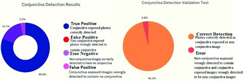 Conjunctiva Detection And Validation Results Download Scientific Diagram