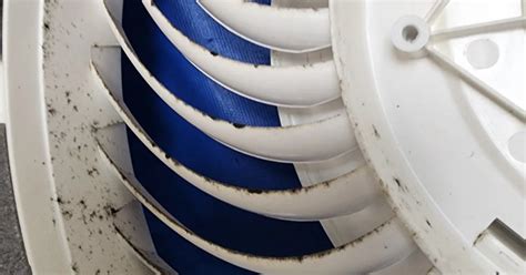 세분의 고수분들께서 오셔서 분업하여 빠르게 작업해주신 덕분에 곰팡이가 펴서 냄새났던 에어컨이 새것처럼 변신했어요 급하게 요청드렸는데 흔쾌히 오셔서 이 더운 날 빠르게