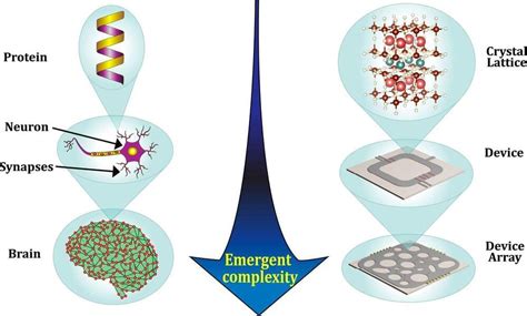 Low Temperature Emergent Neuromorphic Networks With Correlated Oxide