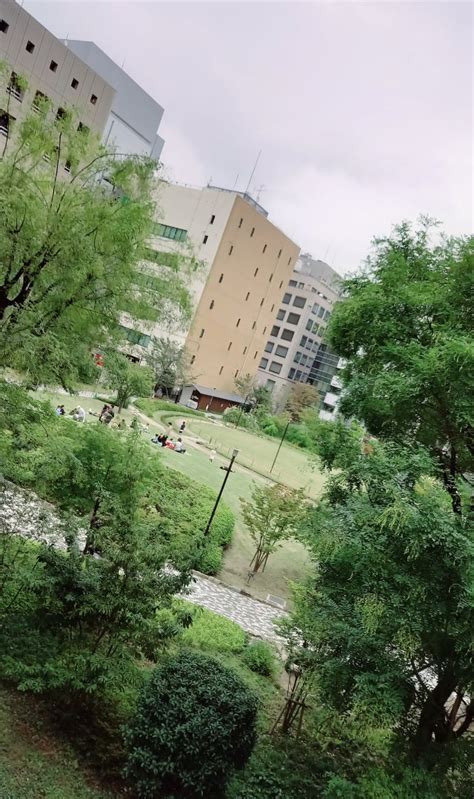 地面師たちサンクチュアリ のんべえのんのブログ