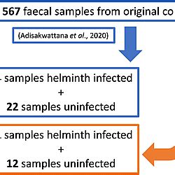 Study Design Of Samples Selected For Microbiota Profiling