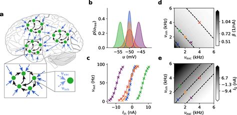 Figure 1 From Cortical Oscillations Support Sampling Based Computations