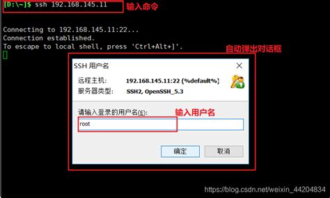 xshell创建连接和基本指令 xshell在目录下创建连接 csdn博客