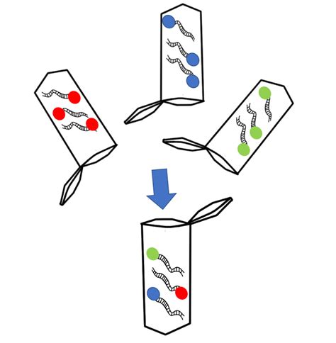 Introduction To Single Cell Sequencing Scs Evocell